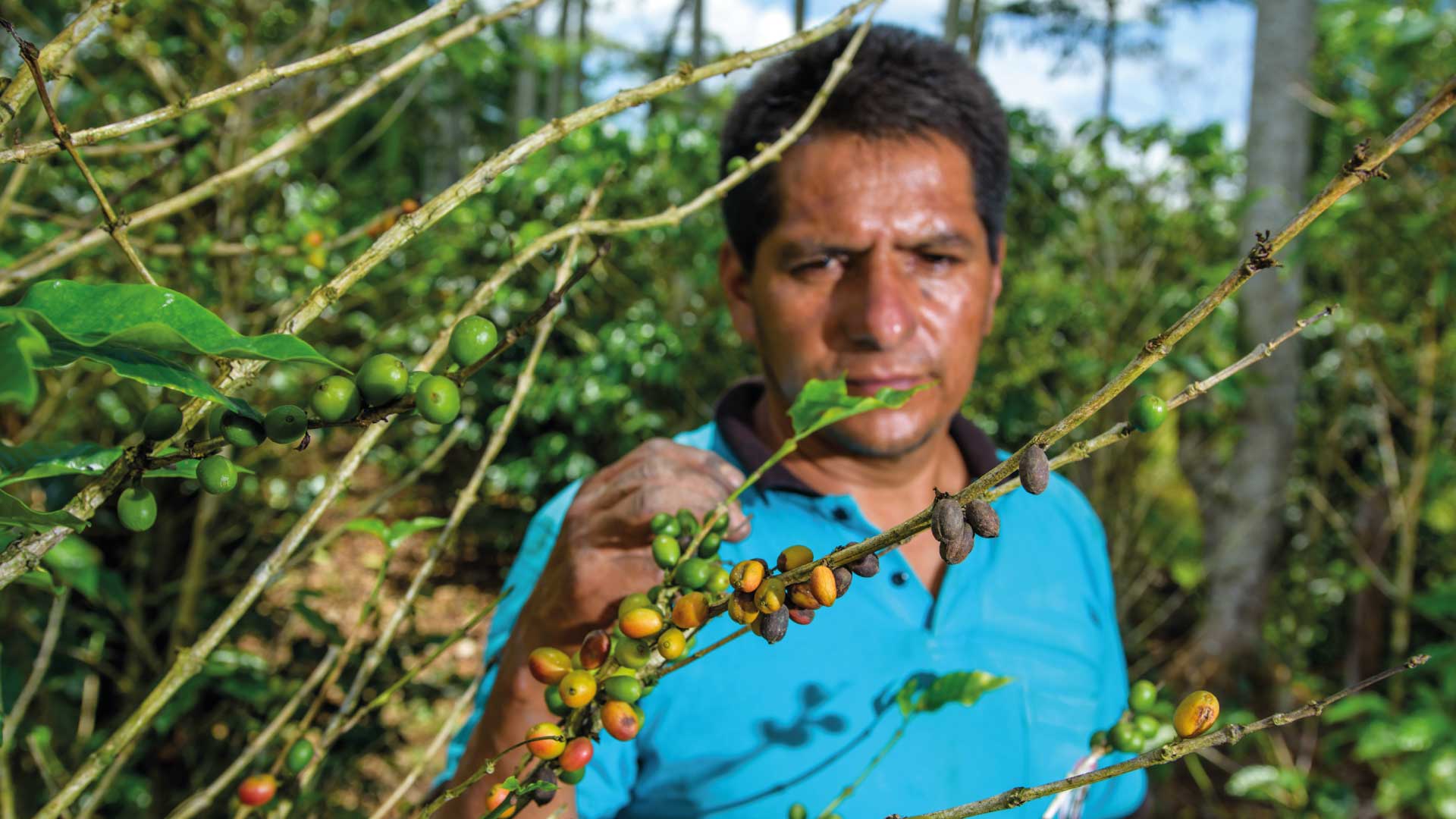Expoamazonica: Ten points on the urgency of implementing deforestation ...
